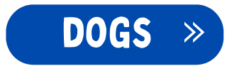 PACT - Animals for Rehoming