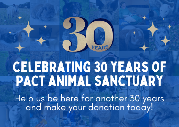 PACT - Animal sanctuary and wildlife rescue.
