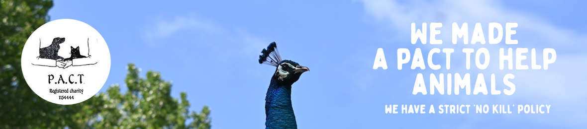 PACT - Animal sanctuary and wildlife rescue.